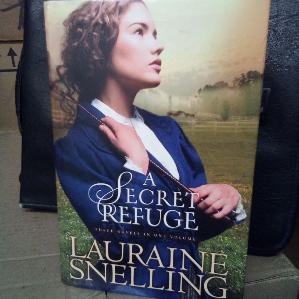 A Secret Refuge by Lauraine Snelling