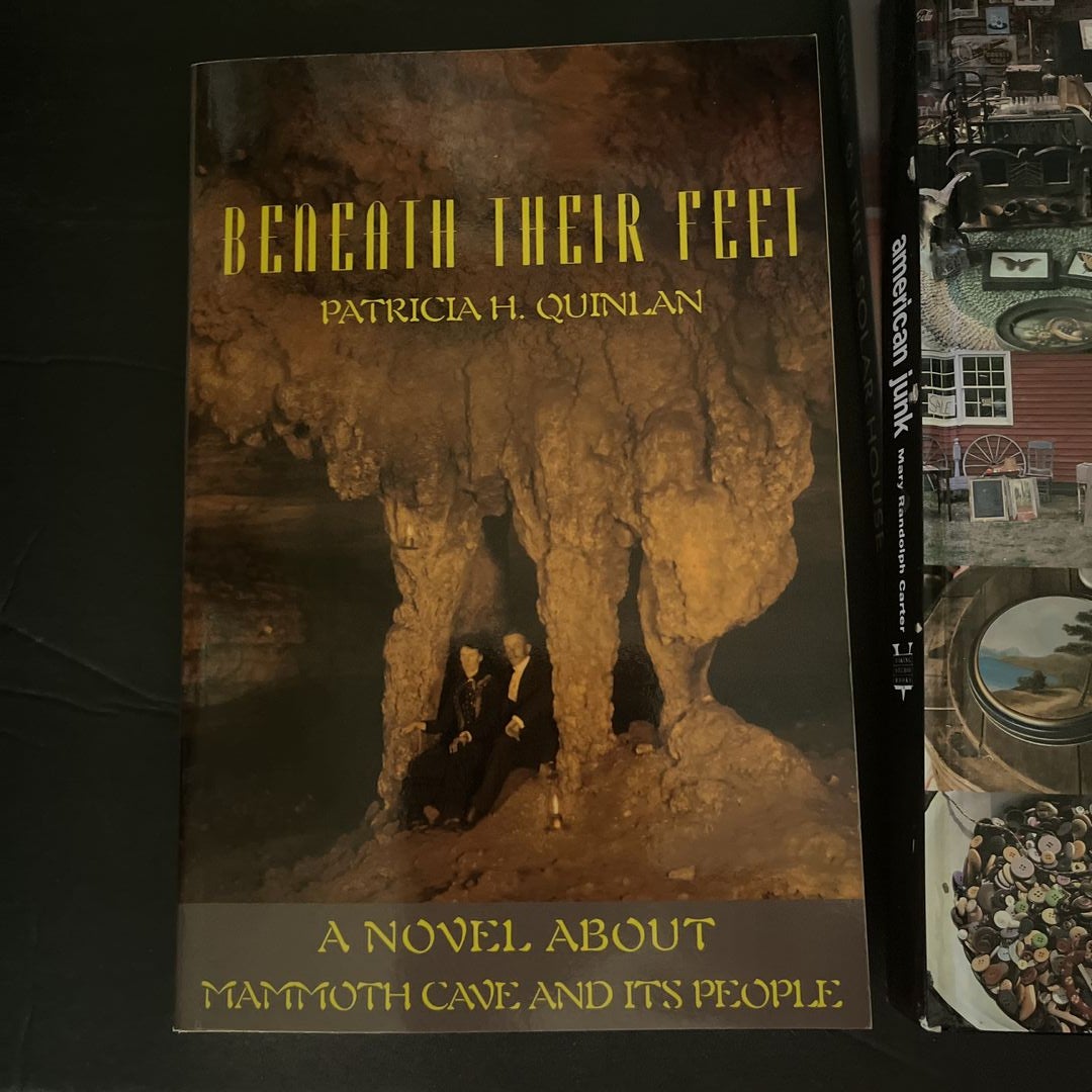 Beneath Their Feet by Patricia Quinlan