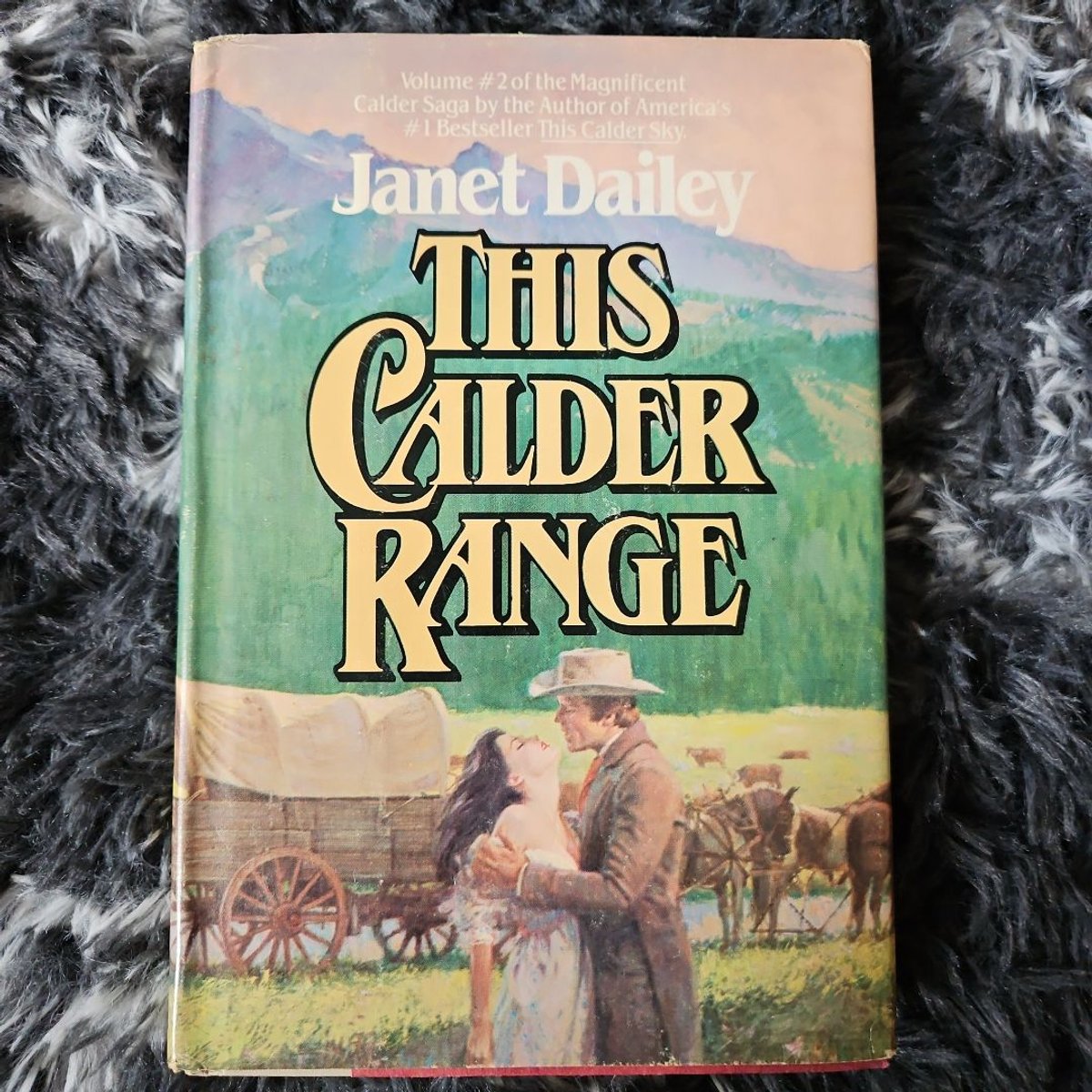 This Calder Range by Janet Daily, Hardcover | Pangobooks