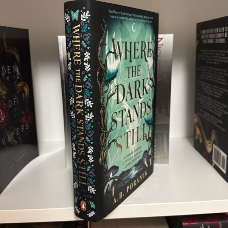 Where the Dark Stands Still by A, Hardcover | Pangobooks