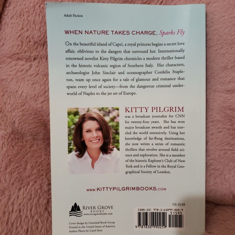 Summer of Fire by Kitty Pilgrim, Paperback | Pangobooks