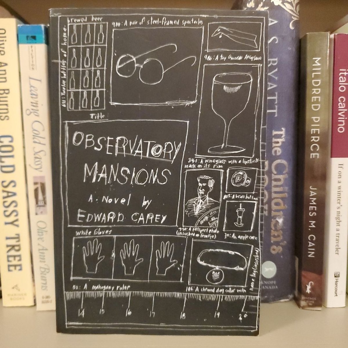 Observatory Mansions by Edward Carey