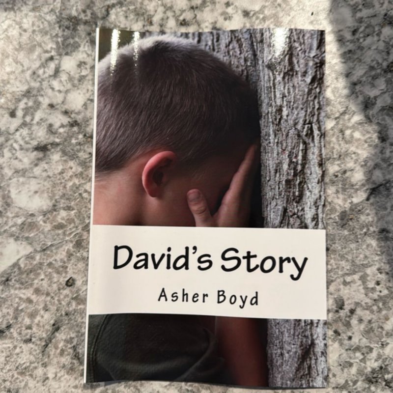 David's Story by Asher Boyd, Paperback | Pangobooks