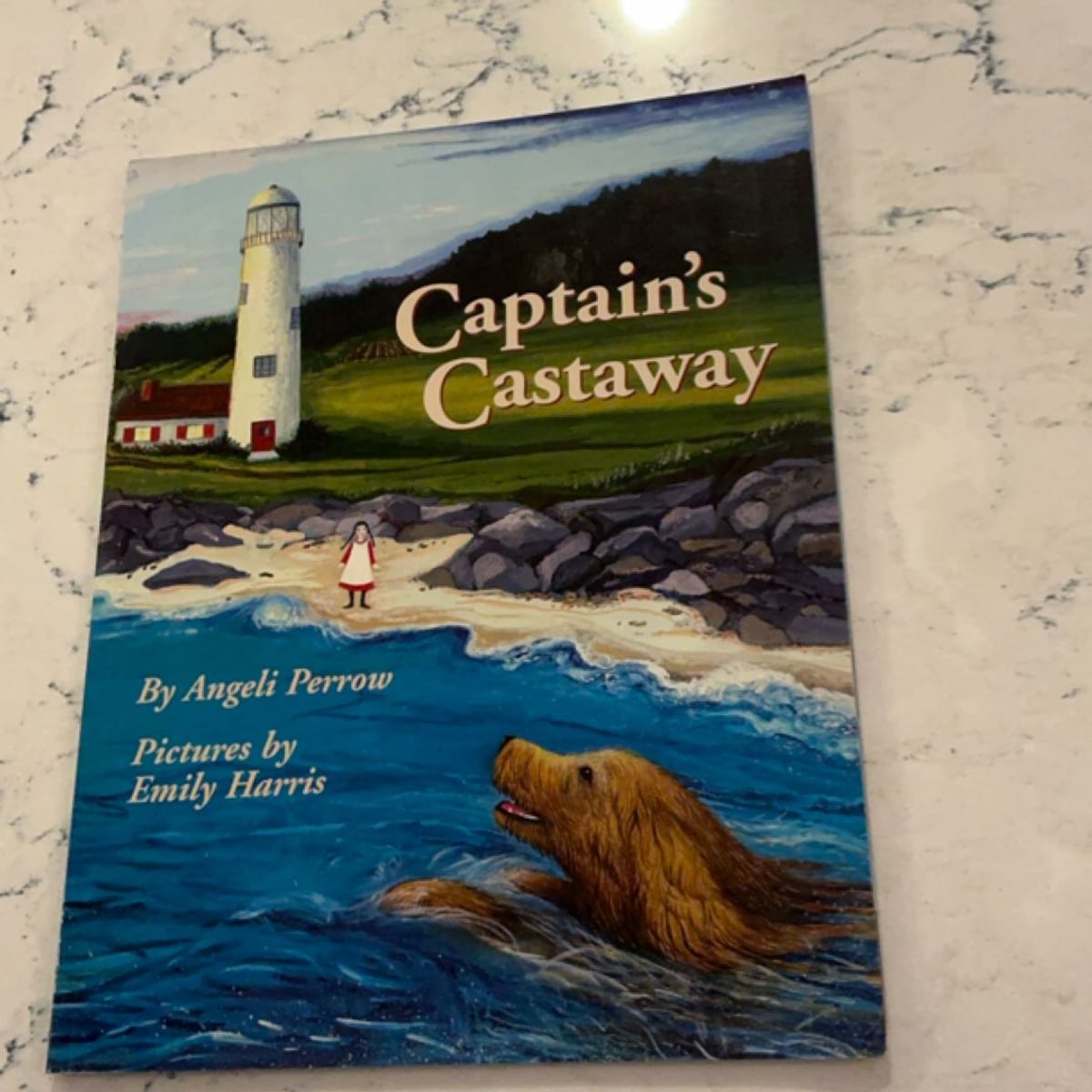 Captain's Castaway by Angeli Perrow