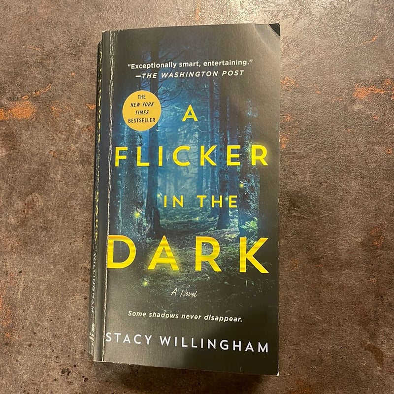 A Flicker in the Dark by Stacy Willingham, Paperback | Pangobooks