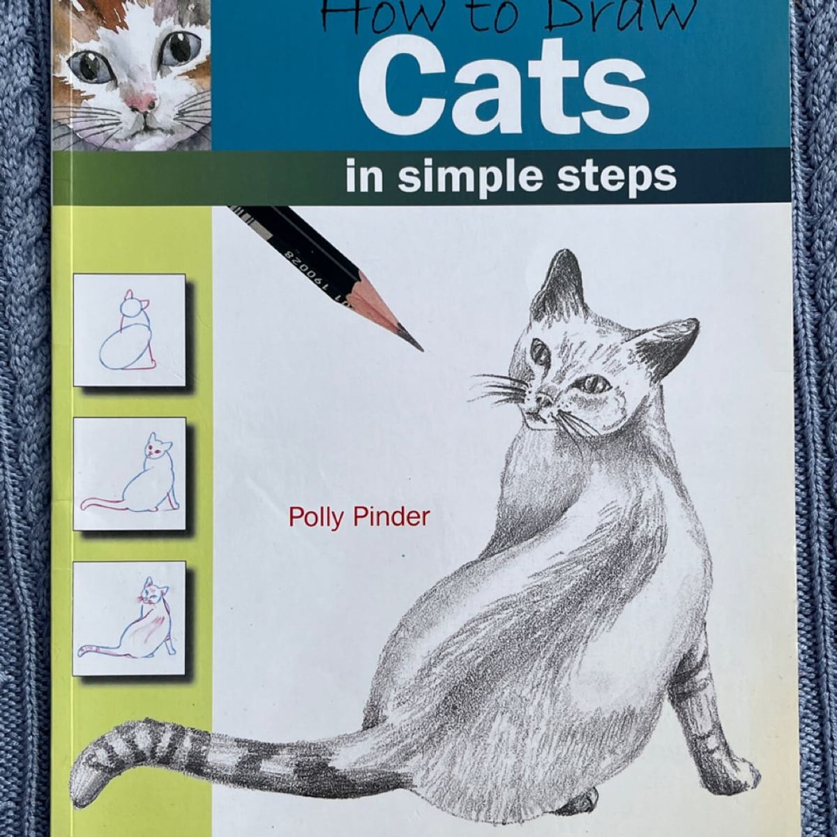 How to Draw Cats in Simple Steps by Polly Pinder