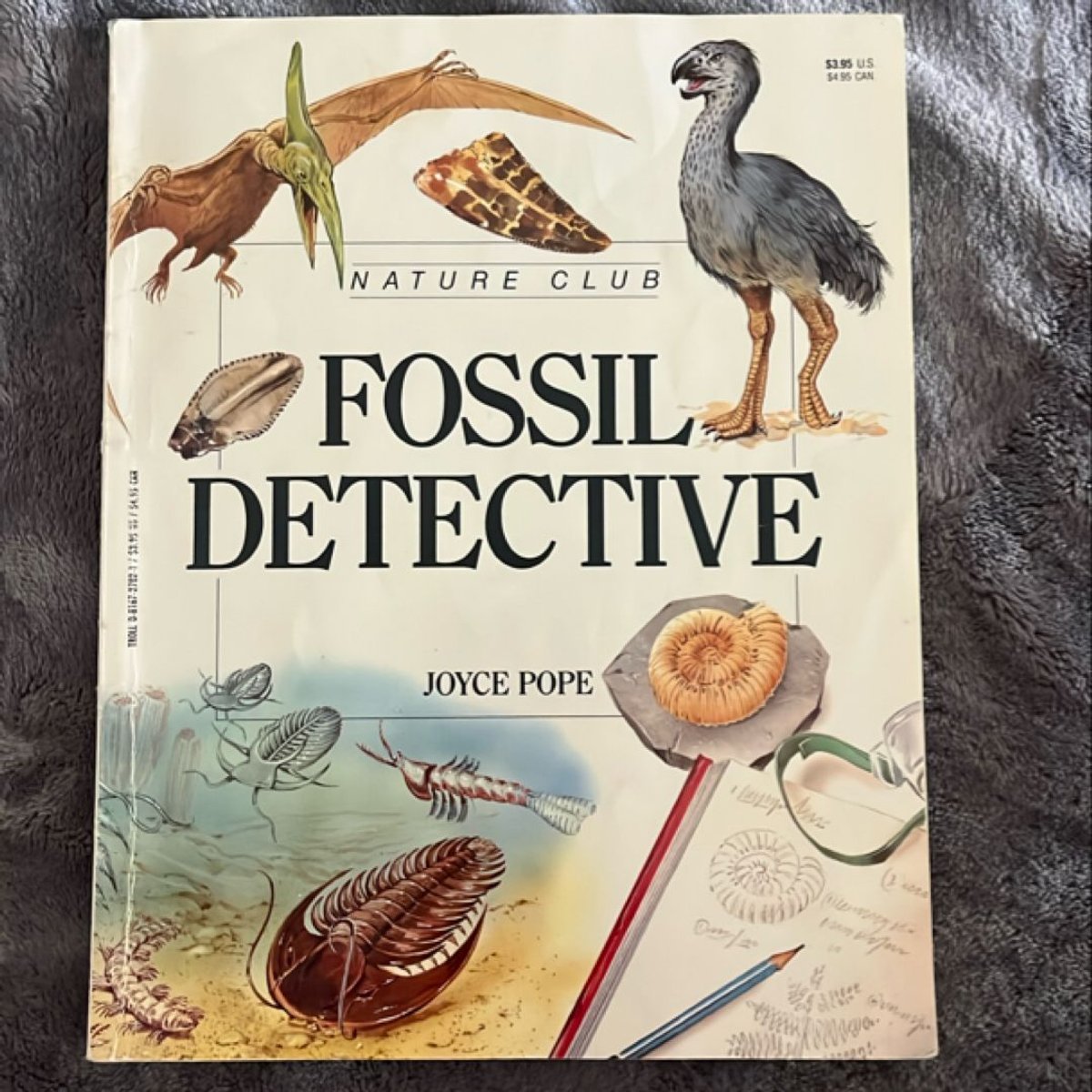Fossil Detective by Joyce Pope