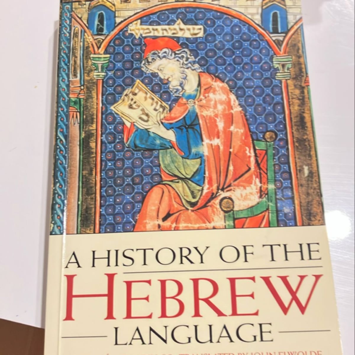 A History of the Hebrew Language by Angel Sáenz-Badillos, John Elwolde ...