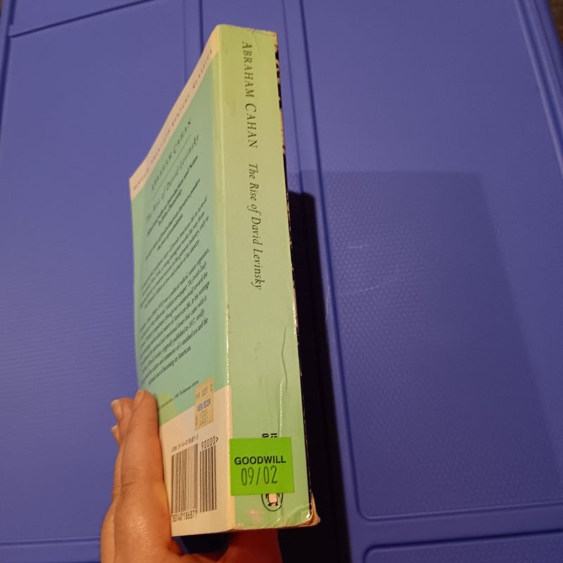 The Rise of David Levinsky by Abraham Cahan