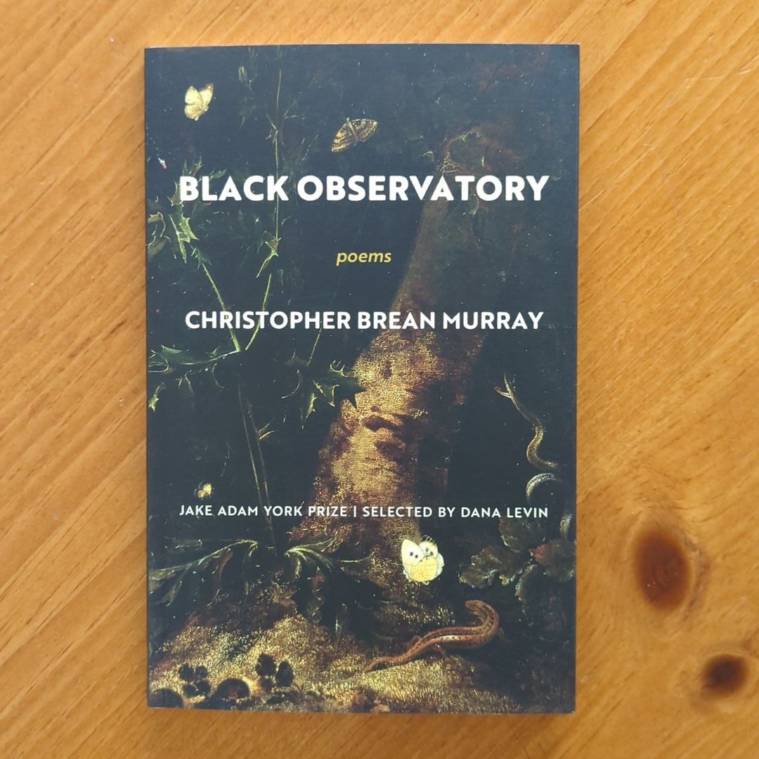 Black Observatory by Christopher Brean Murray