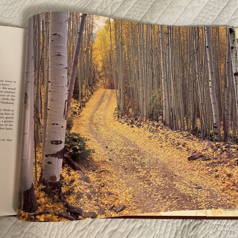 A Colorado Autumn by John Fielder