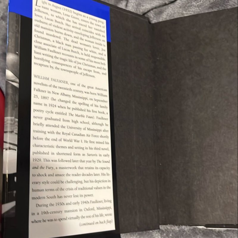 Light in August by William Faulkner , Hardcover | Pangobooks