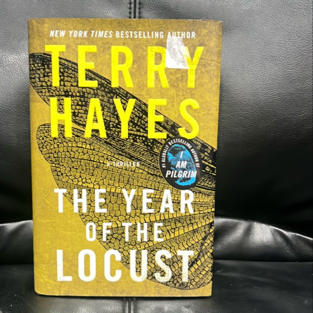 The Year of the Locust by Terry Hayes