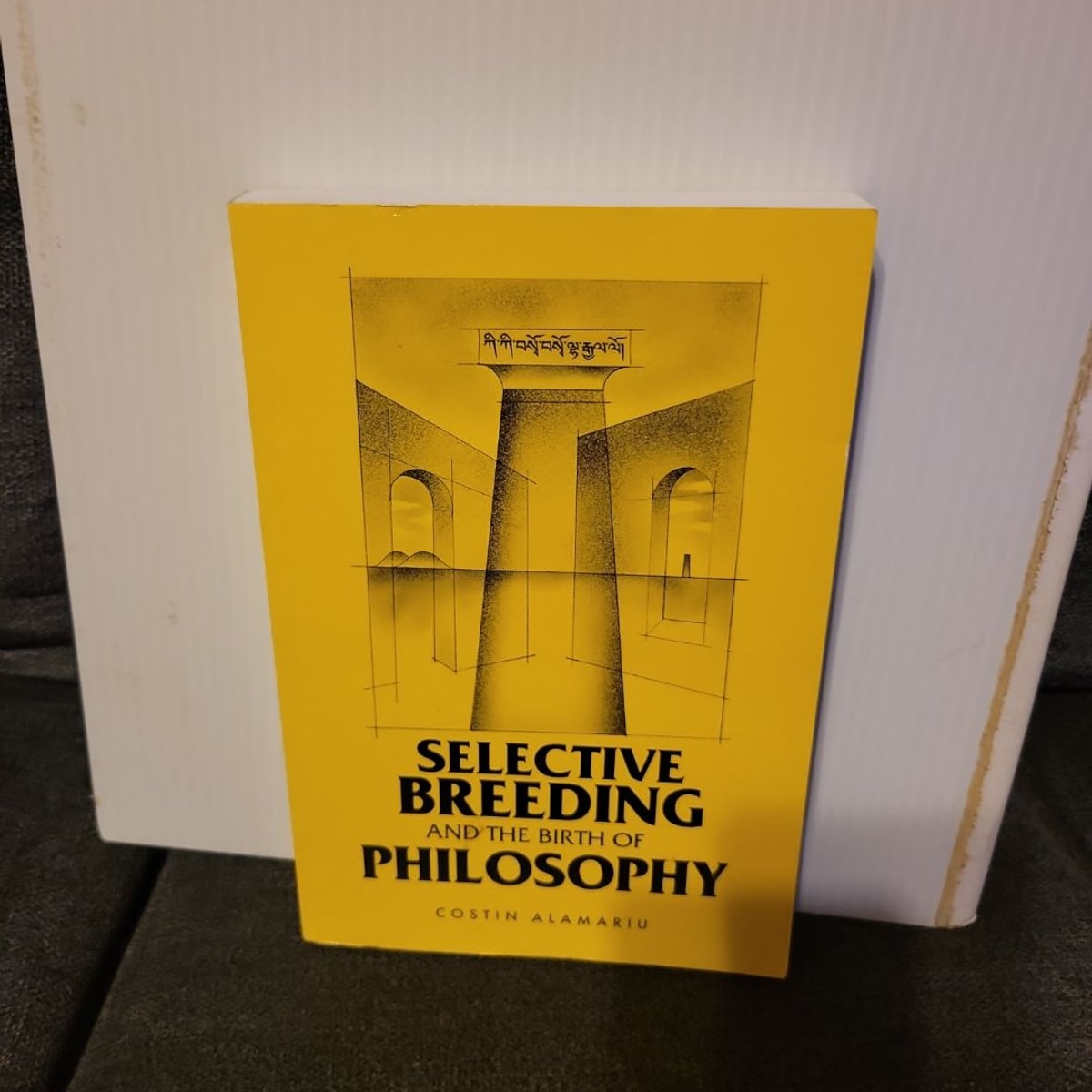 Selective Breeding And The Birth Of Philosophy By Costin Alamariu