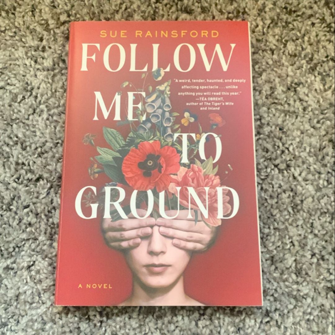 Follow Me to Ground by Sue Rainsford