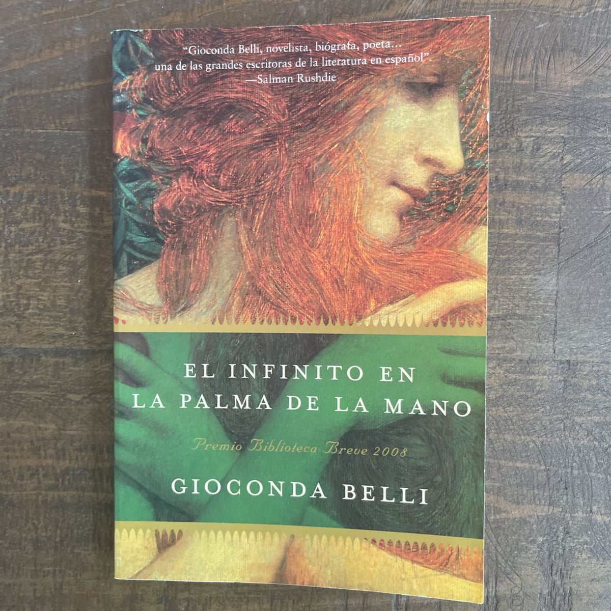 El Infinito en la Palma de la Mano by Gioconda Belli