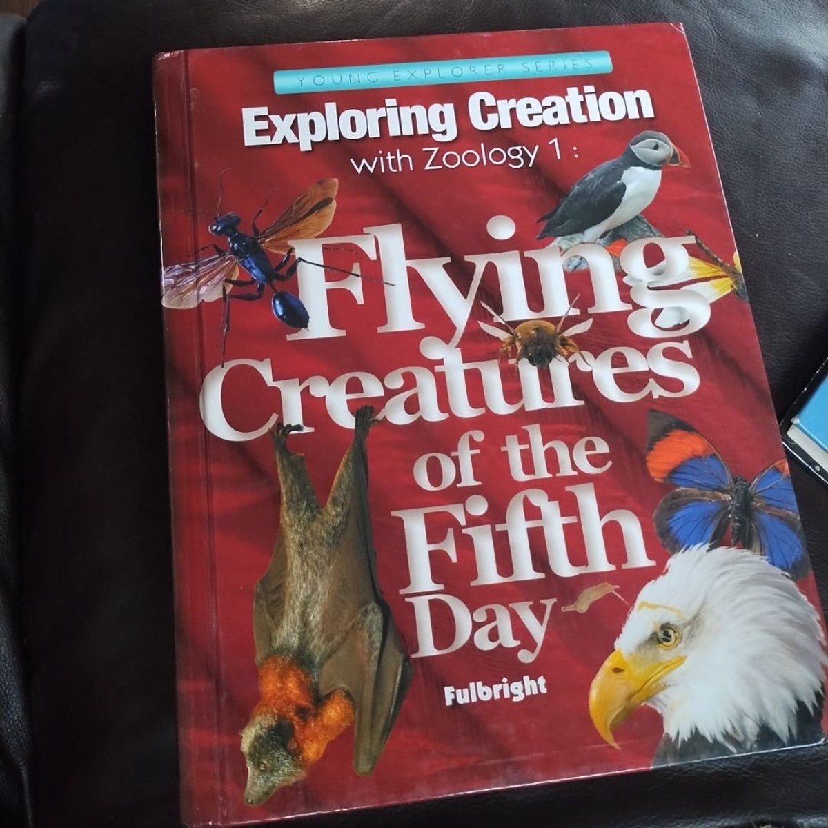 Exploring Creation with Zoology 1 by Jeannie Fulbright