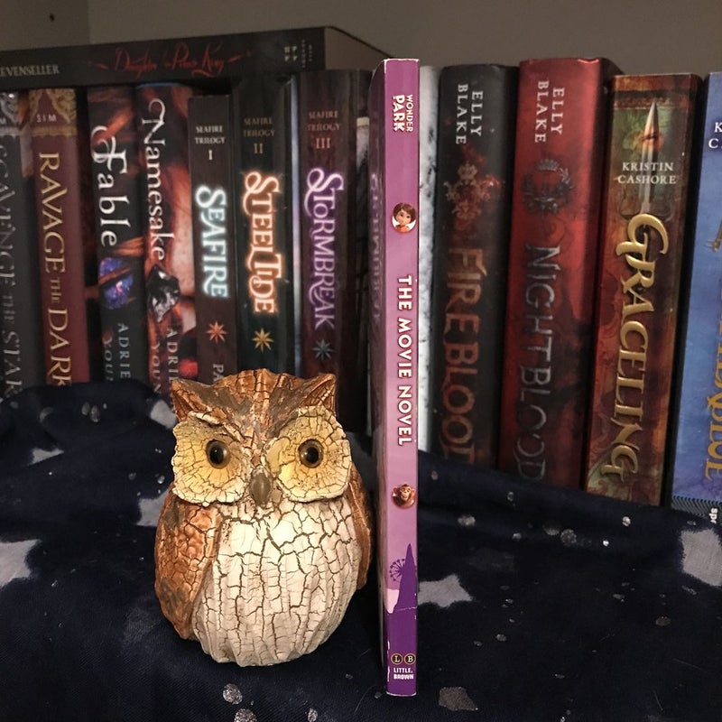 Wonder Park: the Movie Novel by Sadie Chesterfield