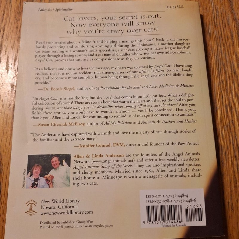 Angel Cats by Allen Anderson, Linda Anderson