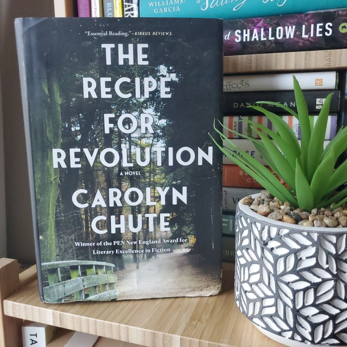 The Recipe for Revolution by Carolyn Chute