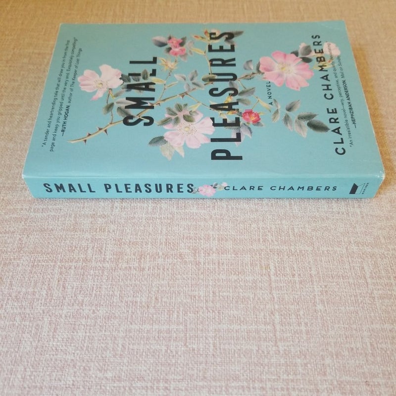 Small Pleasures by Clare Chambers, Paperback | Pangobooks