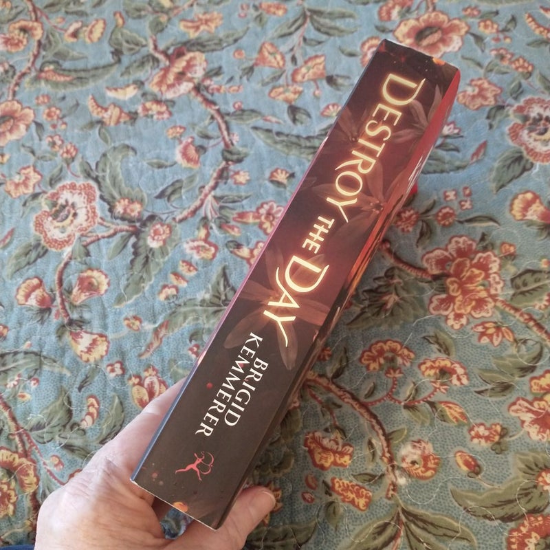 Destroy the Day by Brigid Kemmerer, Paperback | Pangobooks