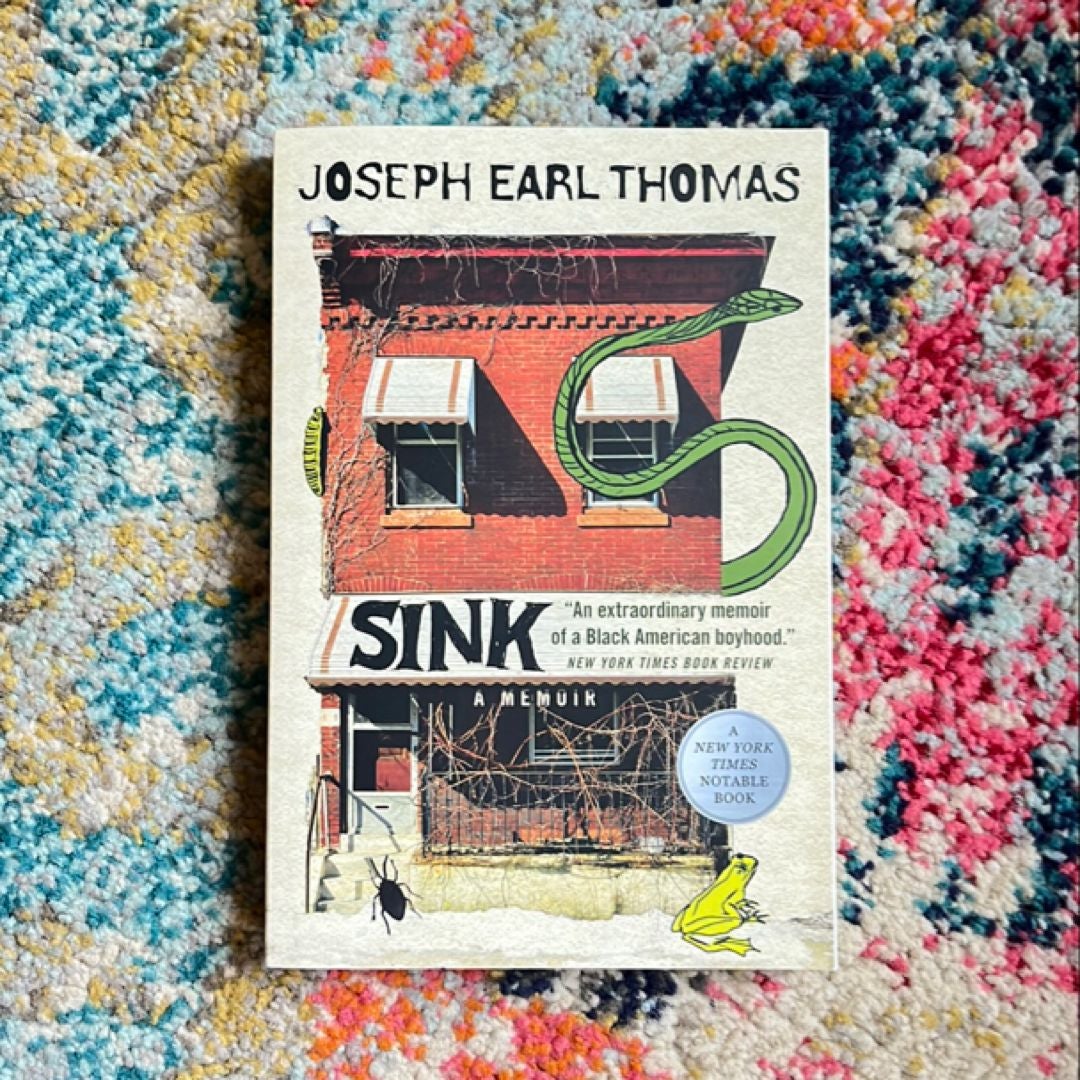 Sink by Joseph Earl Thomas