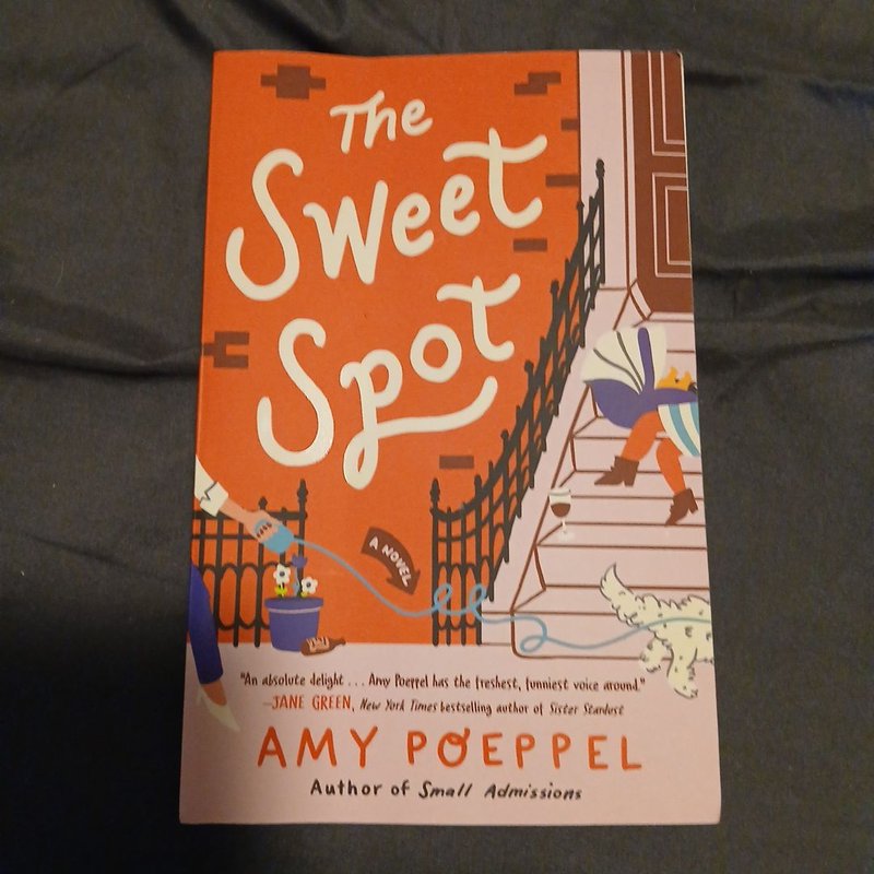 The Sweet Spot by Amy Poeppel, Paperback | Pangobooks