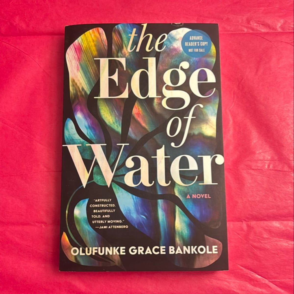 The Edge of Water by Olufunke Grace Bankole