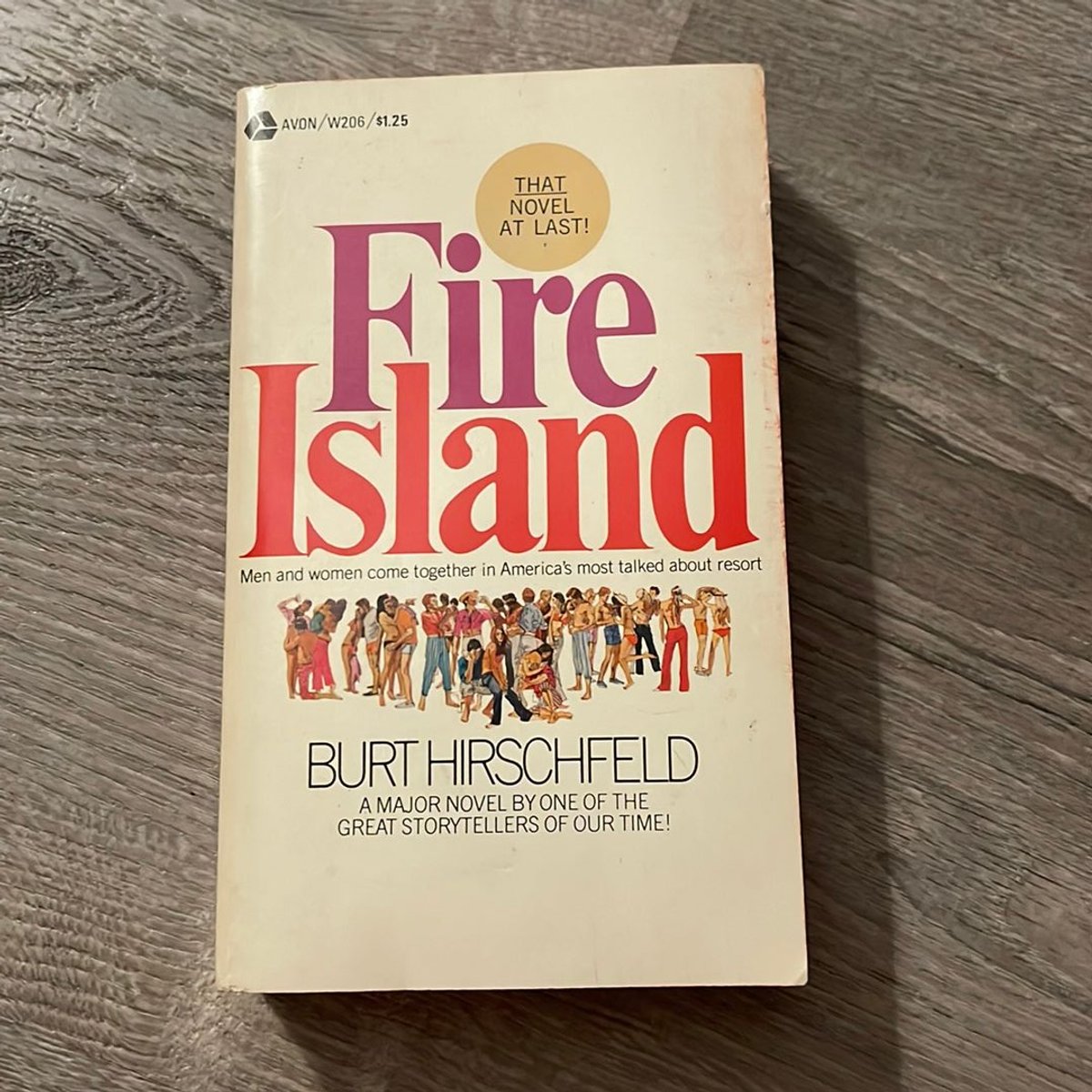 Fire Island by Burt Hirschfeld