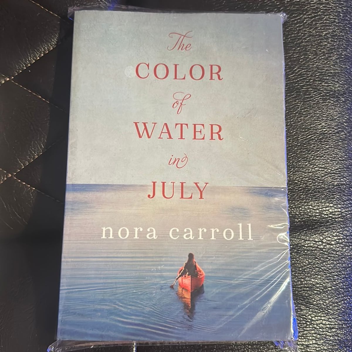 The Color of Water in July by Nora Carroll