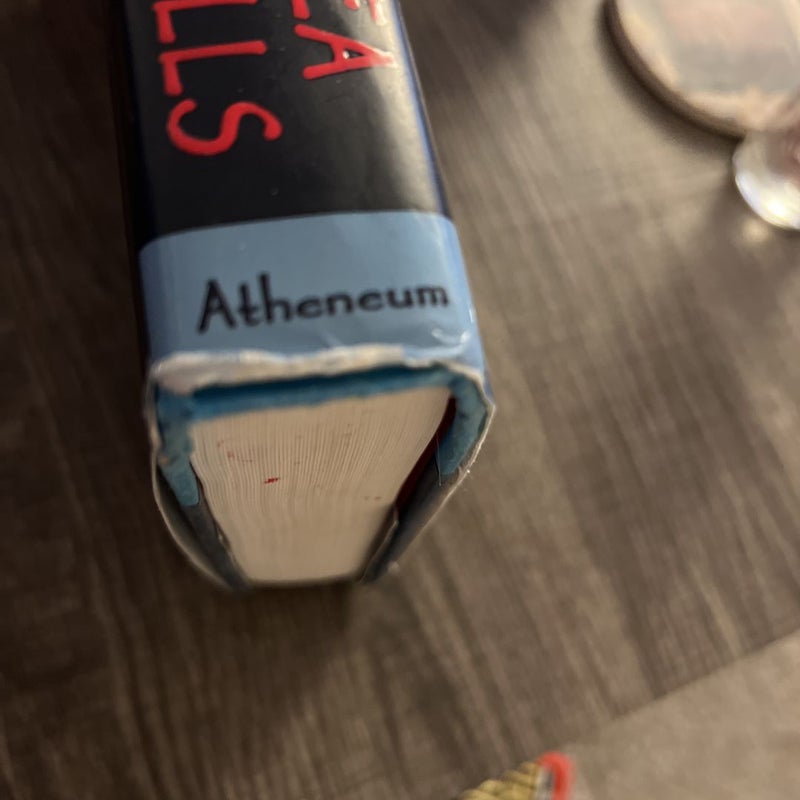 The Sea of Trolls by Nancy Farmer