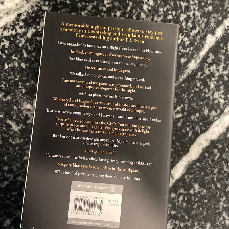 The Stopover by T. L. Swan, Paperback | Pangobooks