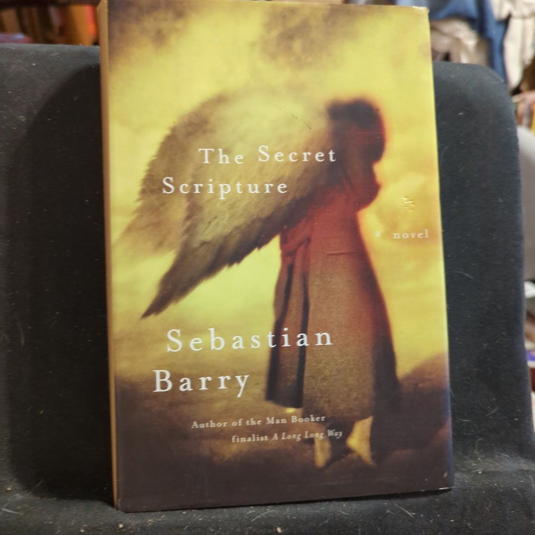 The Secret Scripture by Sebastian Barry