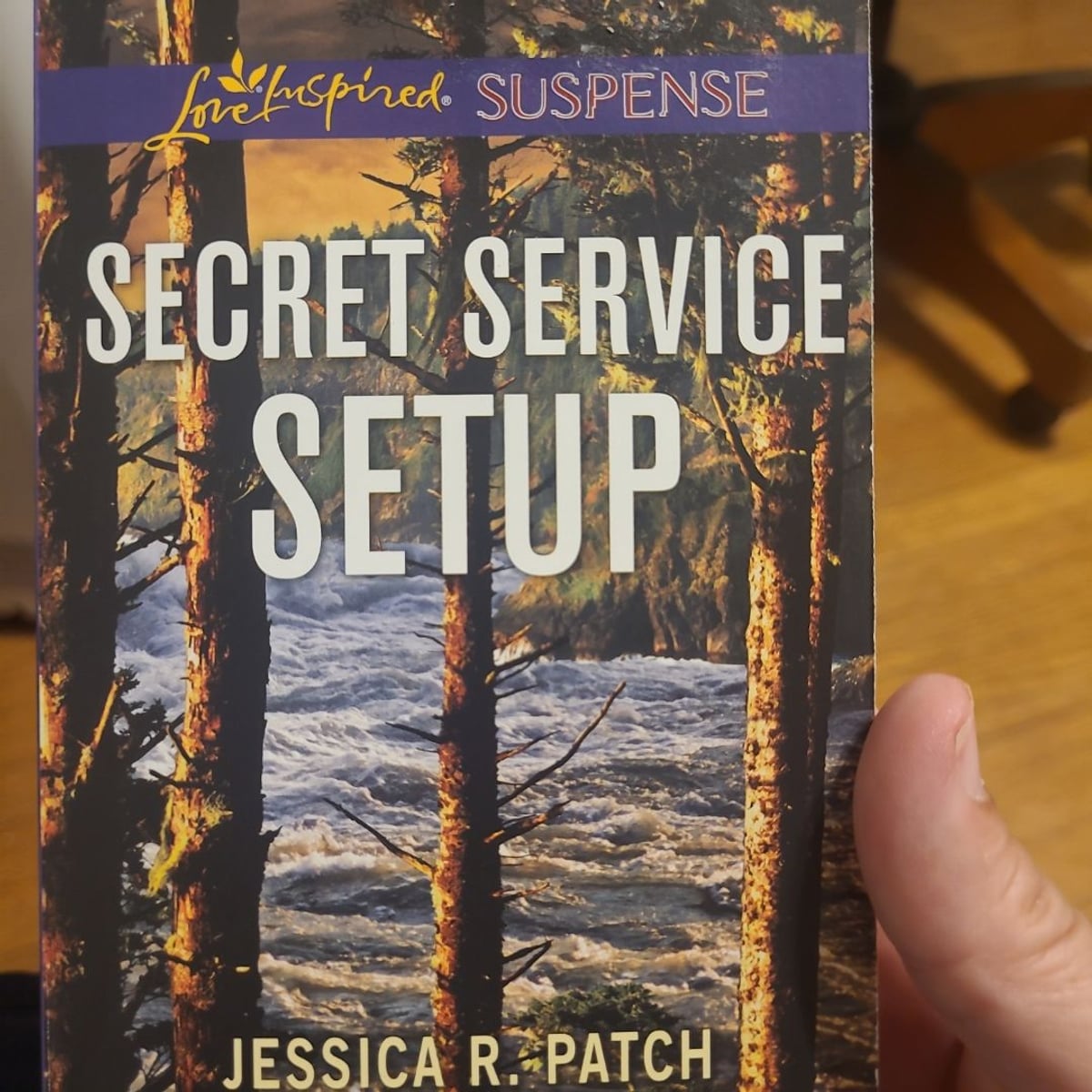 Secret Service Setup by Jessica R. Patch