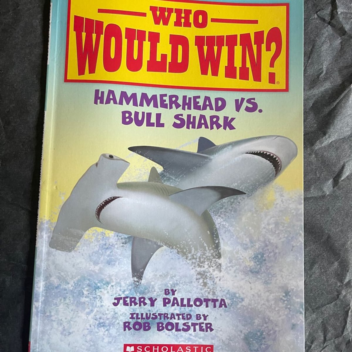 Hammerhead vs. Bull Shark by Jerry Pallotta