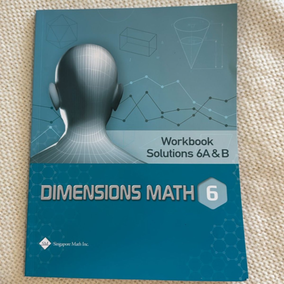 Dimensions Math Workbook Solutions 6A and B by