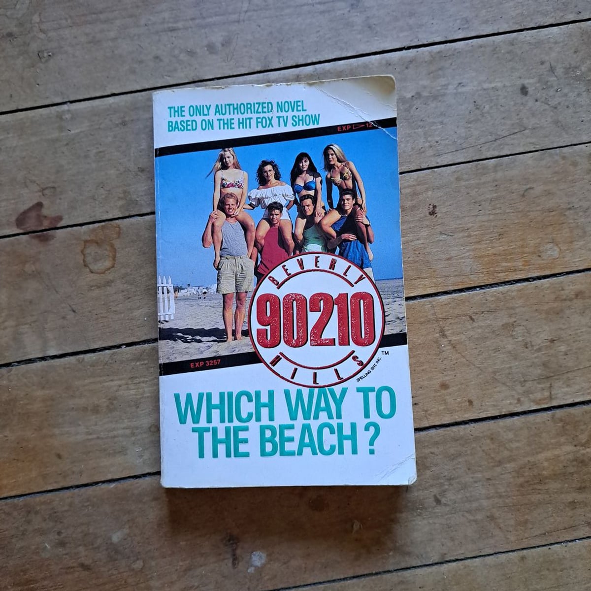 Beverly Hills, 90210 by Mel Gilden, Paperback | Pangobooks