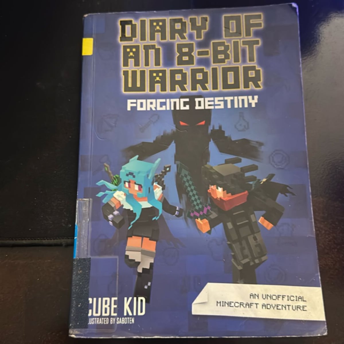 Diary of an 8-Bit Warrior: Forging Destiny by Cube Cube Kid