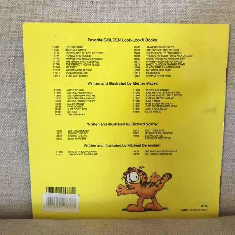 Garfield's Picnic Adventure by Jim Davis, Paperback | Pangobooks