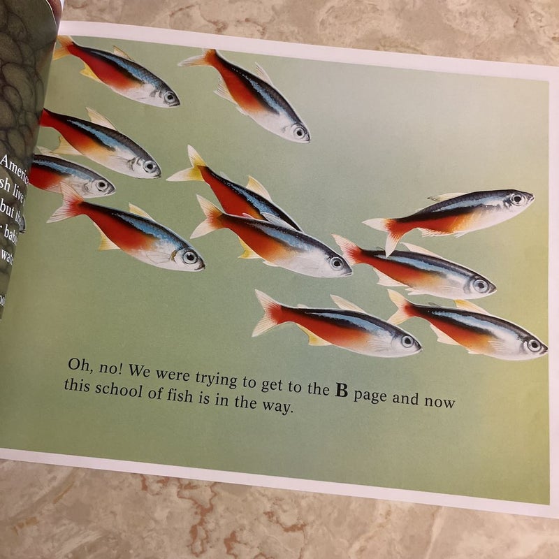 The Freshwater Alphabet Book by Jerry Pallotta, Paperback | Pangobooks