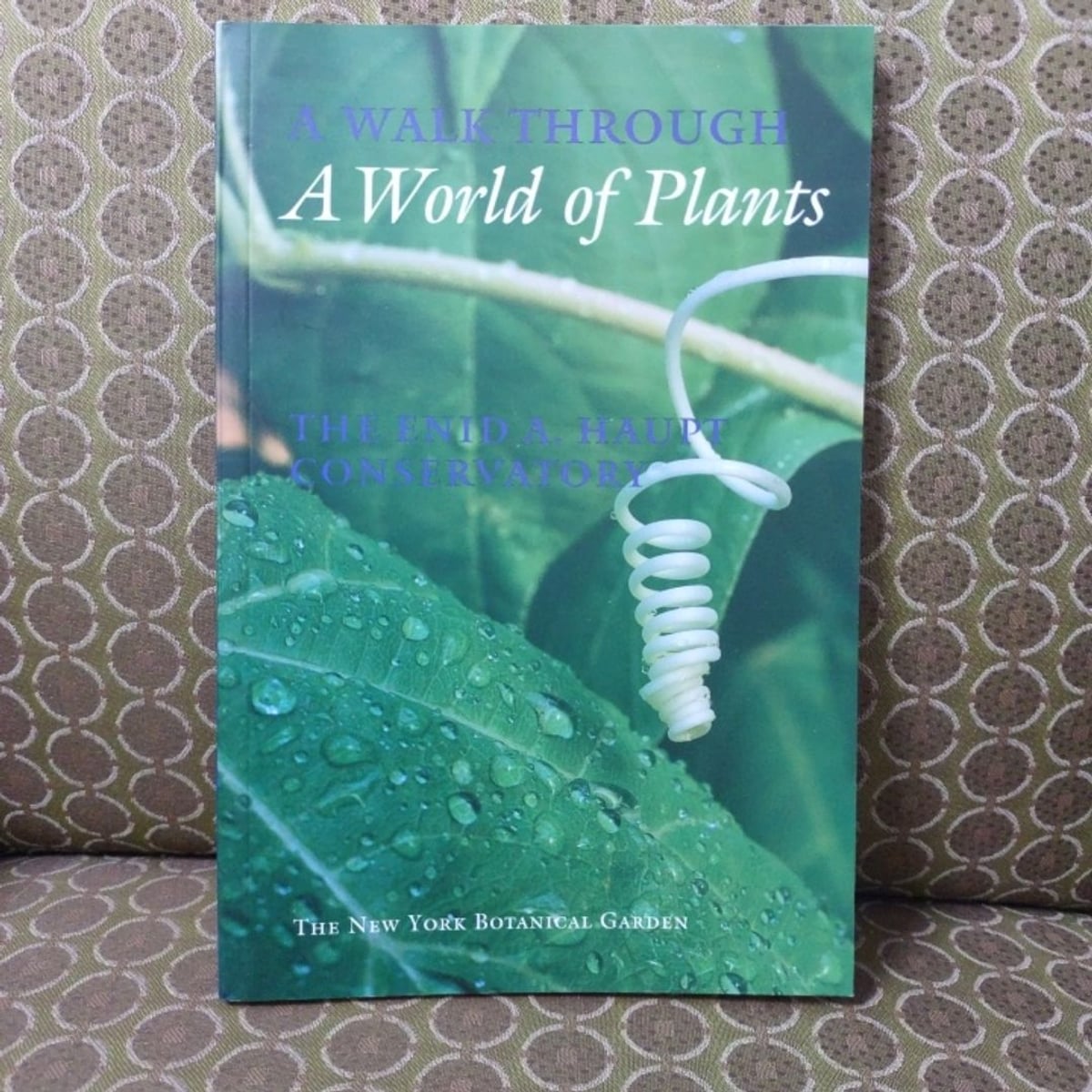 Plants and People by Allan Appel