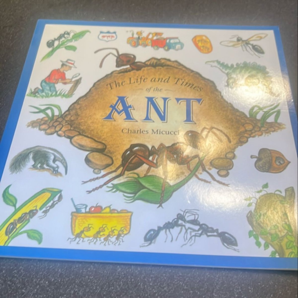 The Life and Times of the Ant by Charles Micucci