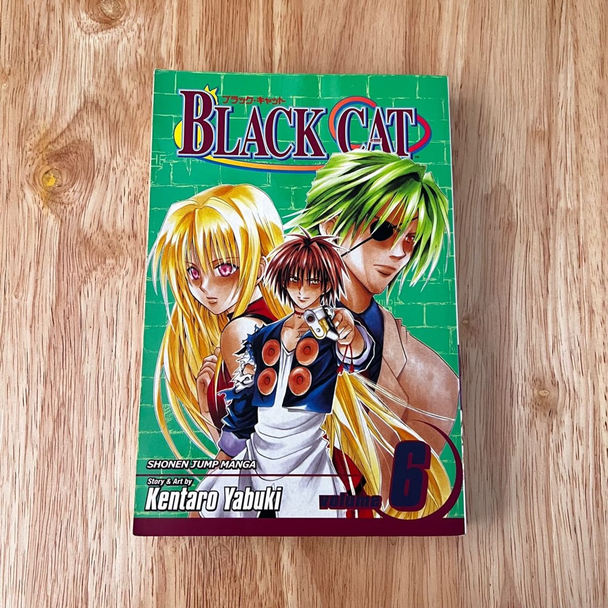 Black Cat, Vol. 6 by Kentaro Yabuki