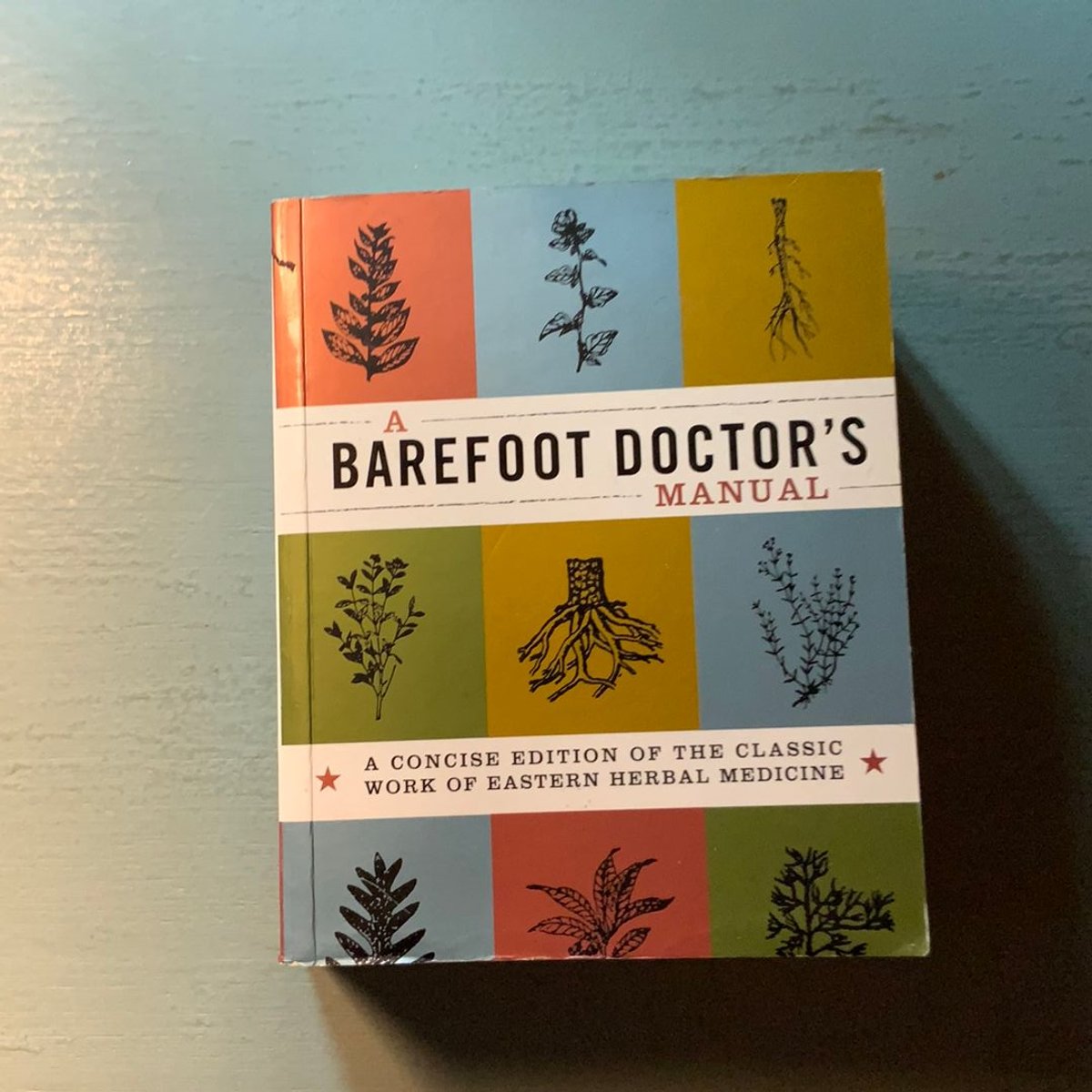 A Barefoot Doctor's Manual by Running Press Staff