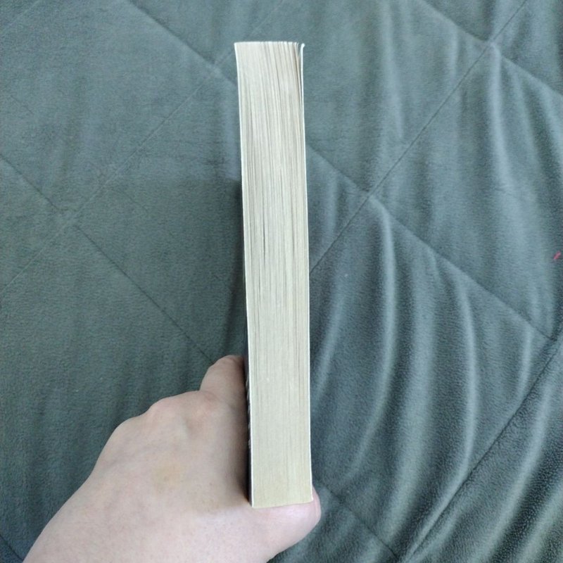 Warriors: the Broken Code #5: the Place of No Stars by Erin Hunter