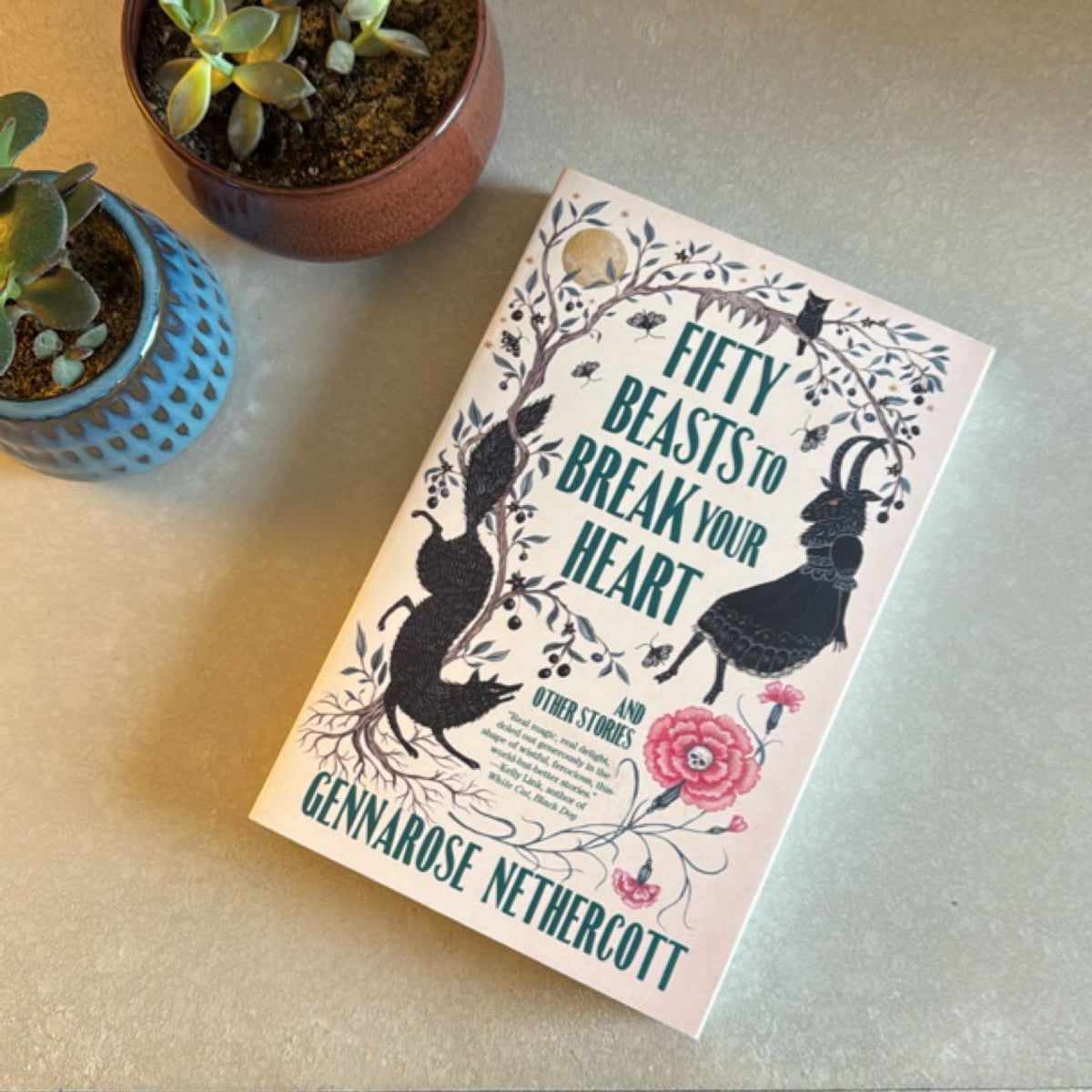 Fifty Beasts to Break Your Heart by GennaRose Nethercott