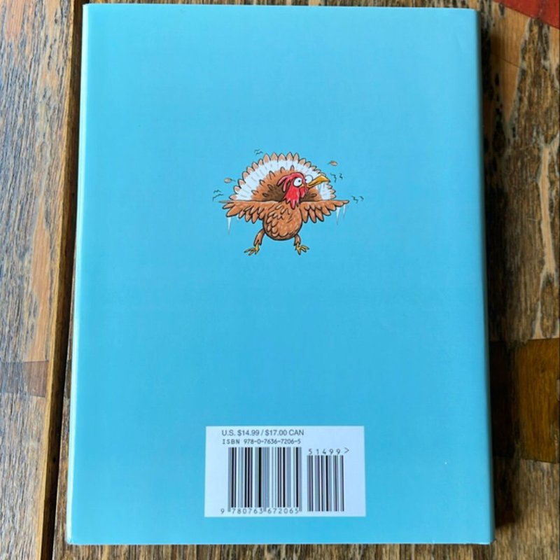 Judy Moody and Stink: the Wishbone Wish by Megan McDonald