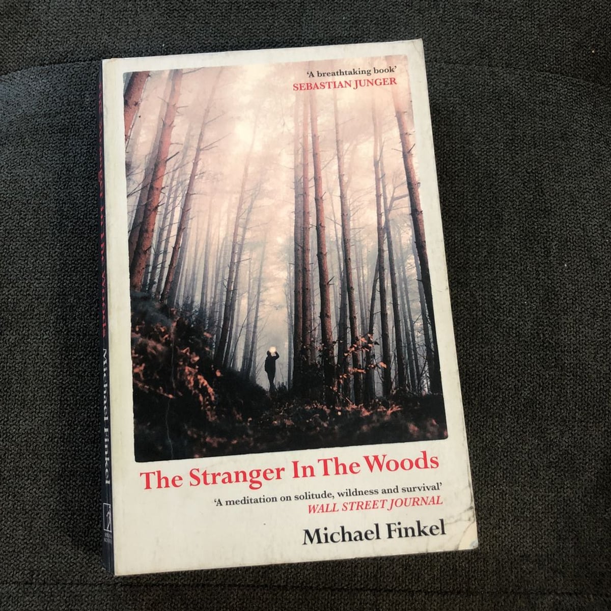 The Stranger in the Woods by Michael Finkel, Paperback | Pangobooks