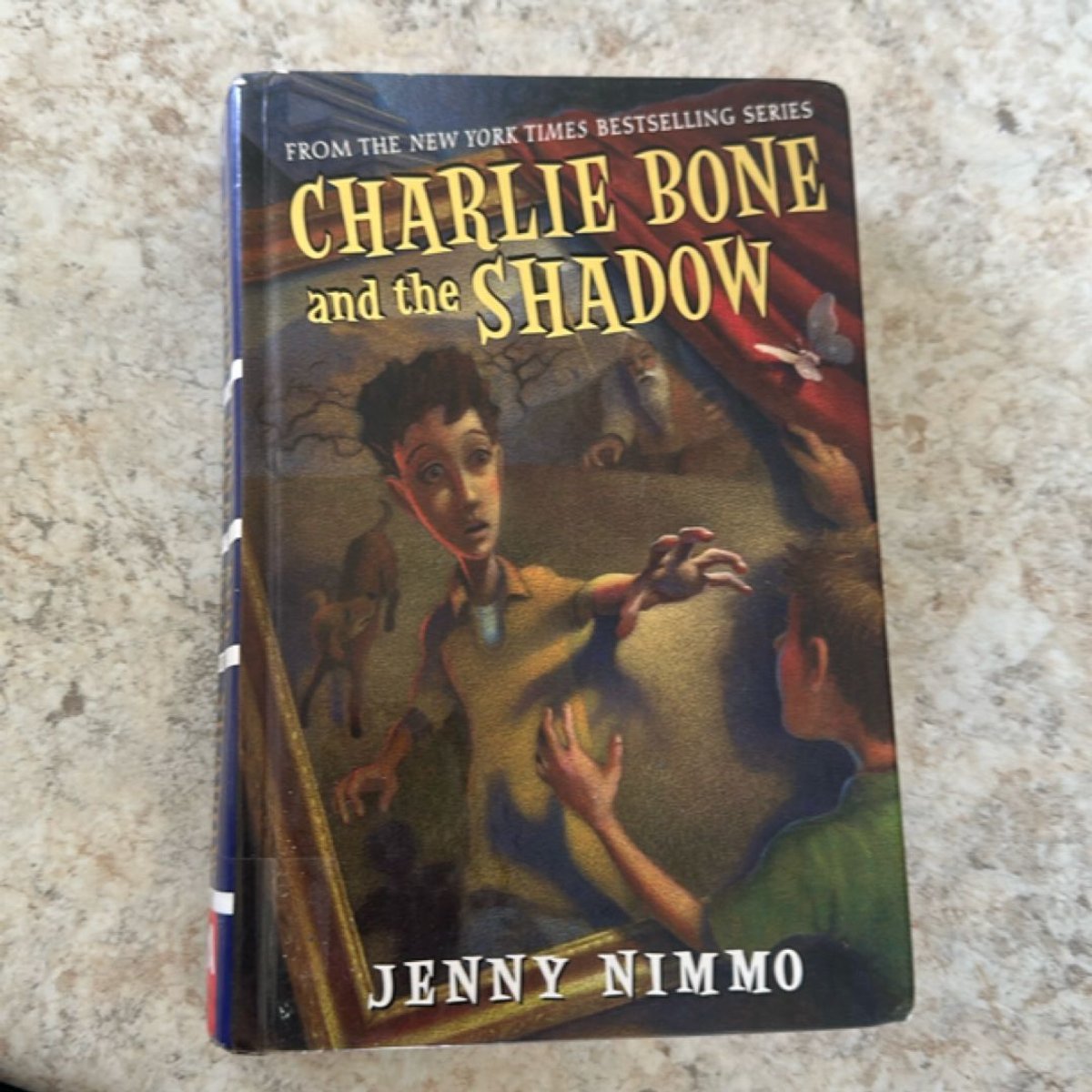 Charlie Bone and the Shadow by Jenny Nimmo